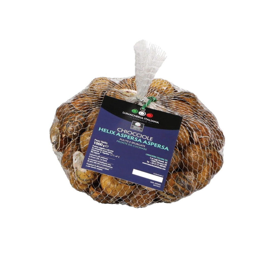 HELIX ASPERSA Aspersa 1000g - Lumacheria Italiana