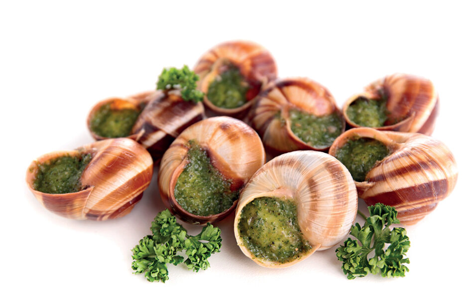 Lumacheria Italiana: Acquista le lumache on-line